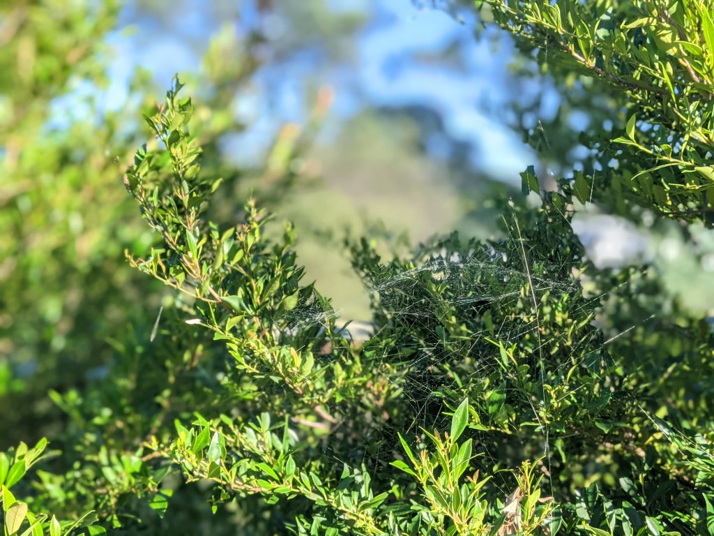 Committee and meetings – Ferny Grove Upper Kedron (FGUK) Residents ...